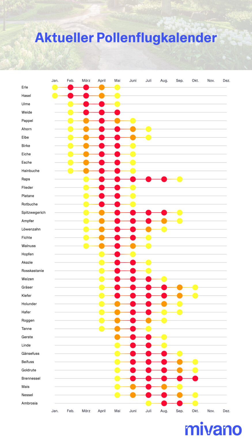 Allergiekalender 2025: Pollenflugkalender aktuell | mivano health